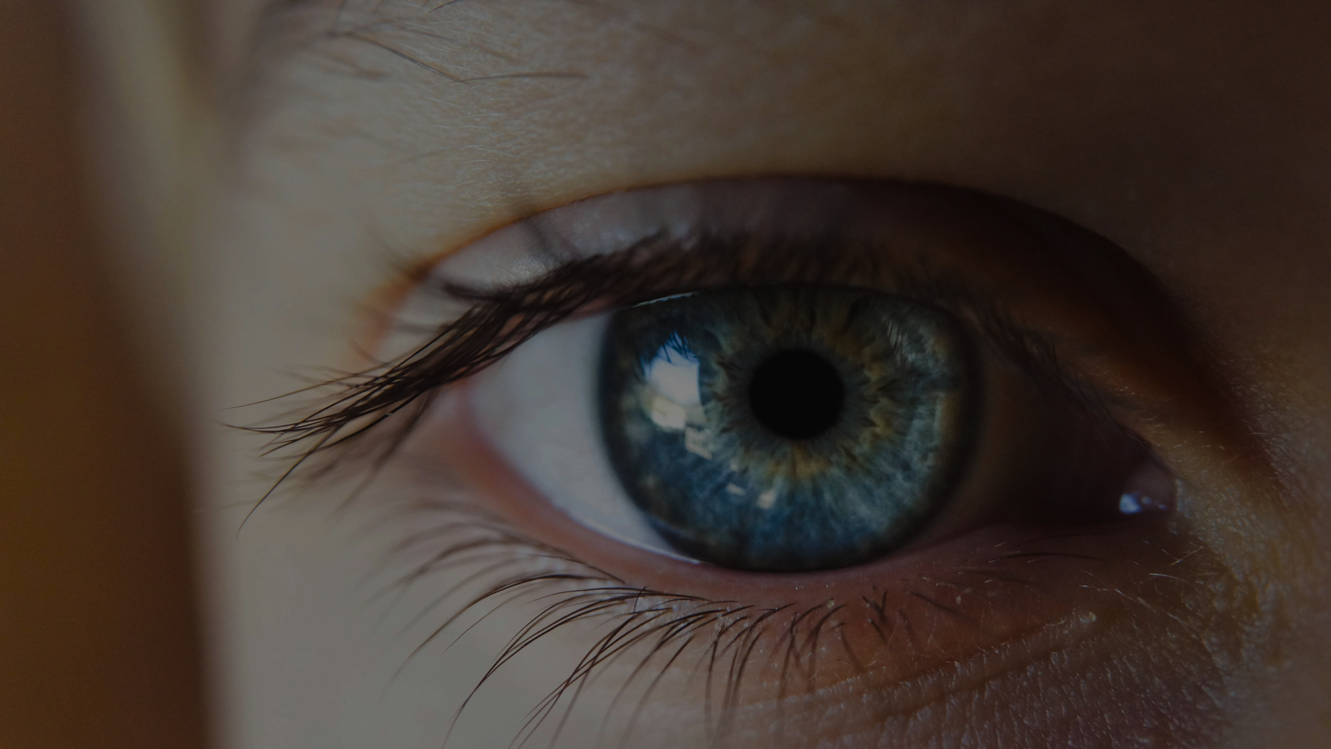 Eyedid - Eye Tracking Technology